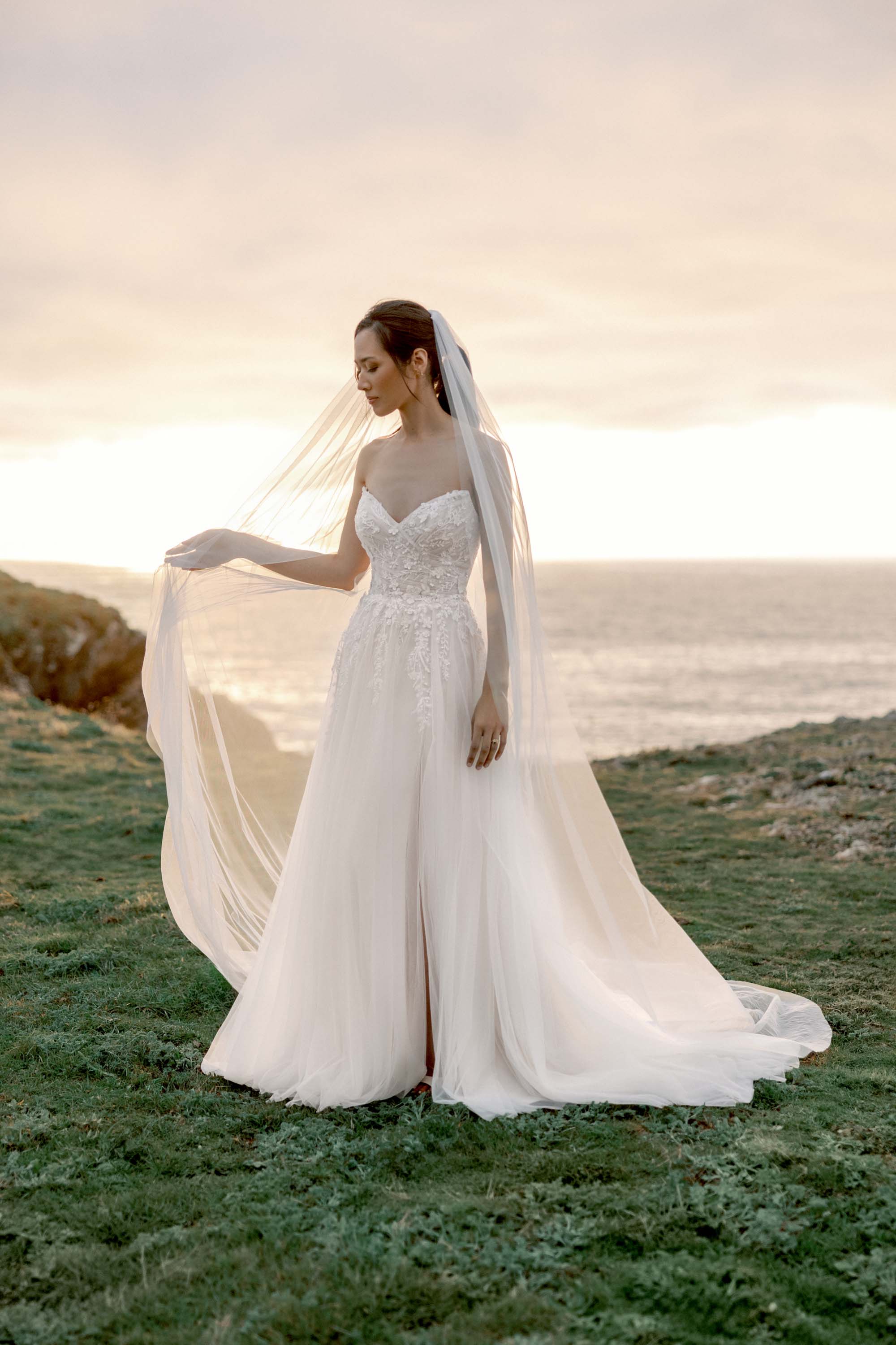 Salome (11424X) – Sugar & Spice Wholesale